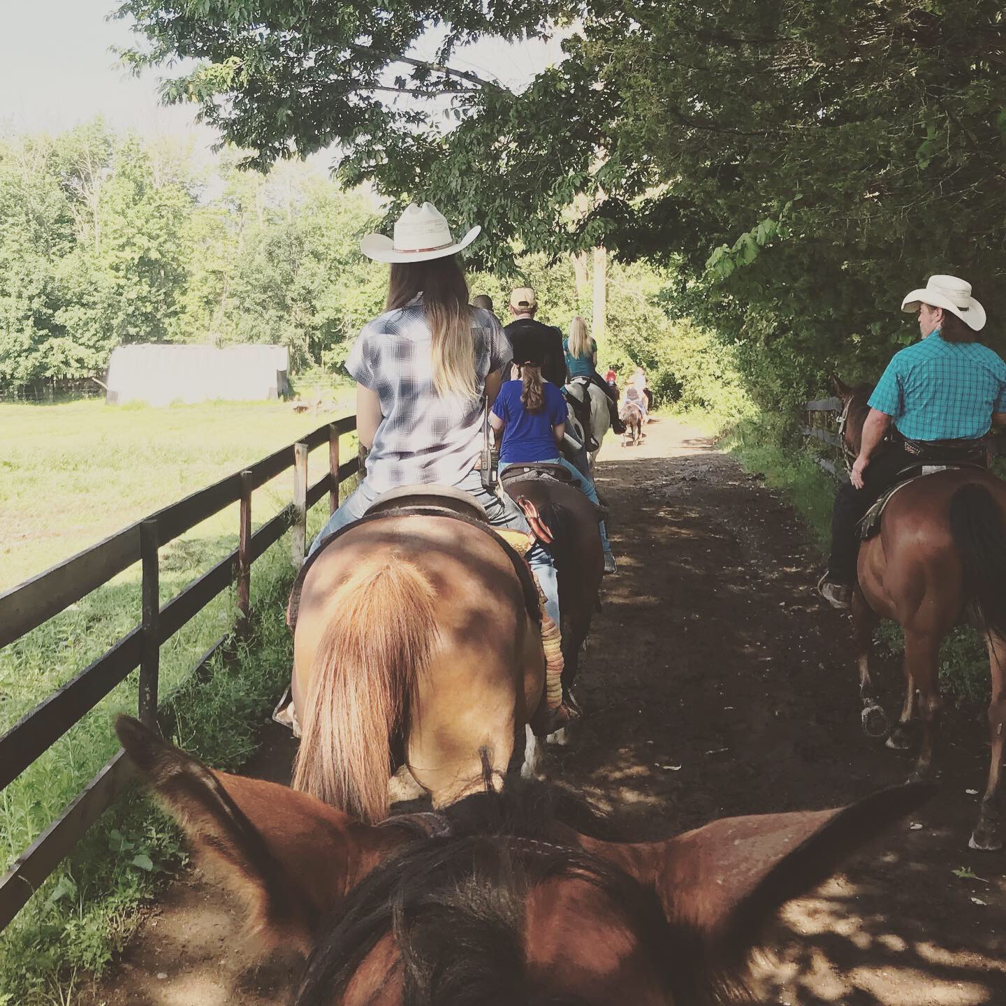Introducing the Equus Local Trail Directory! | EquusLocal